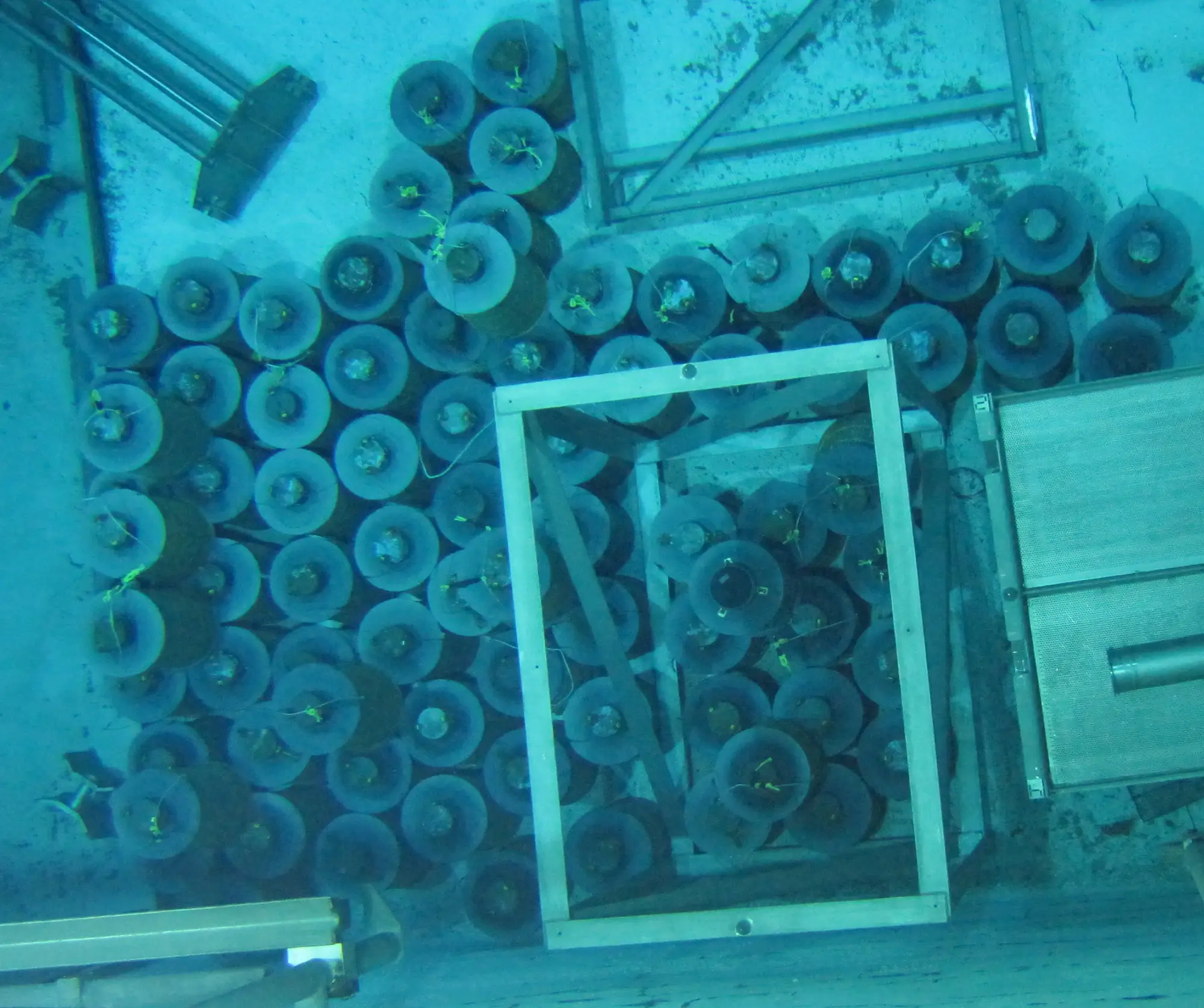 Processing, Transfer and Disposal of Low and Intermediate Level Waste ...