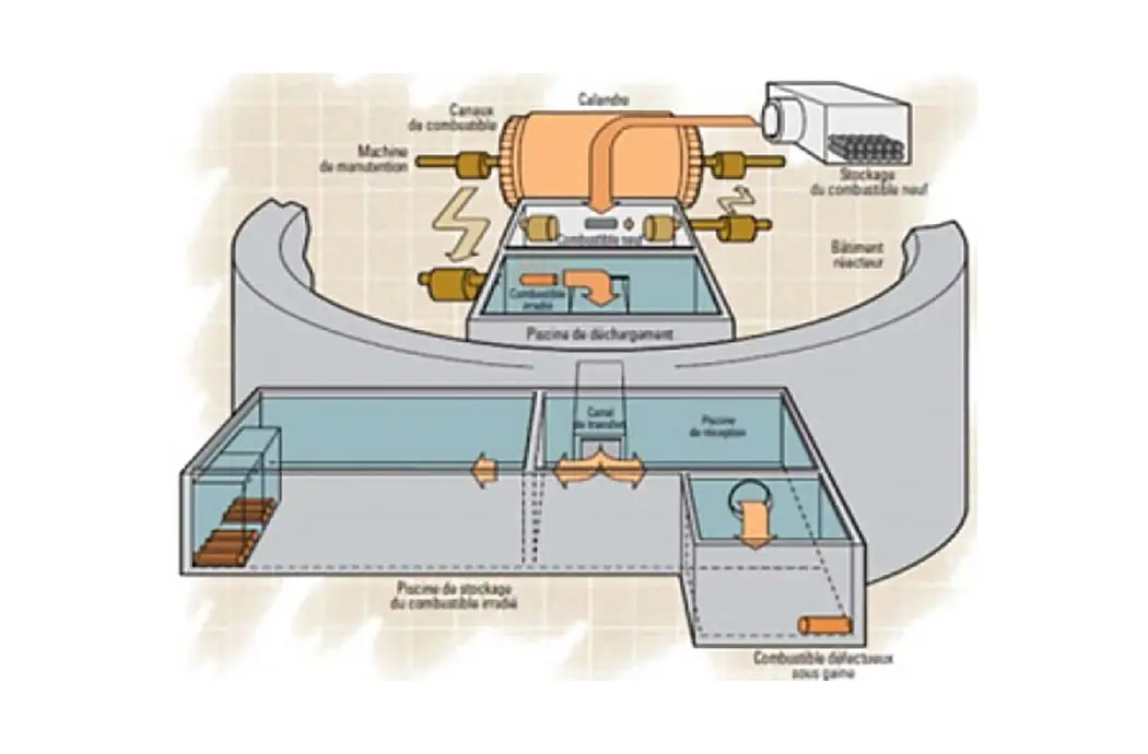 Study and Options Assessment of Low- Intermediate- and High Level ...